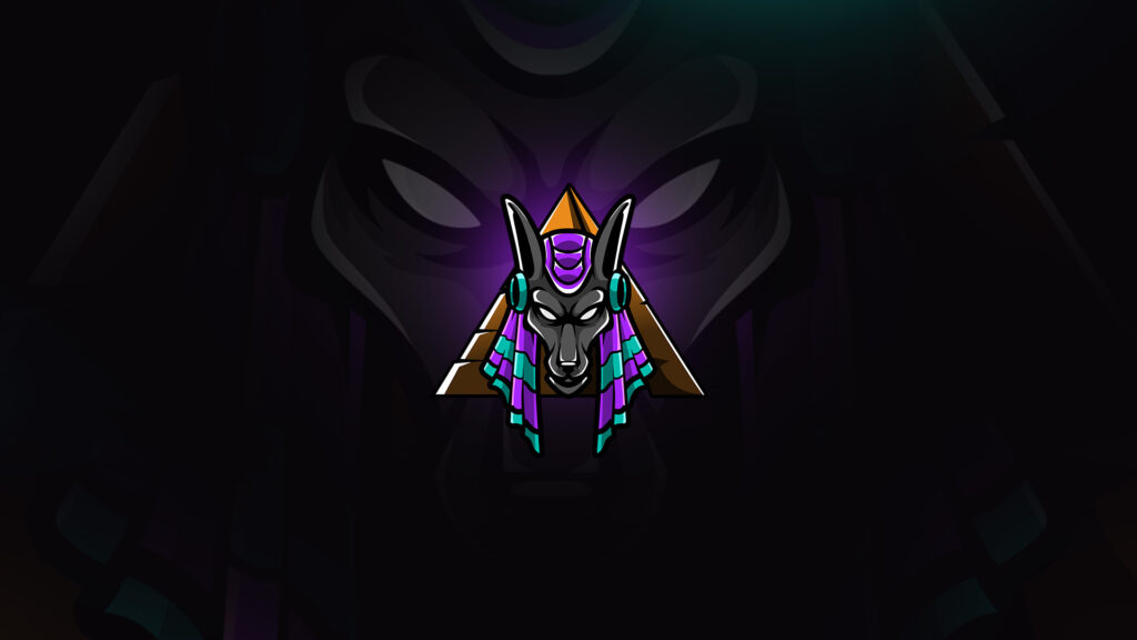 Case Study | Stream Overlay - DoubleD | Steapro